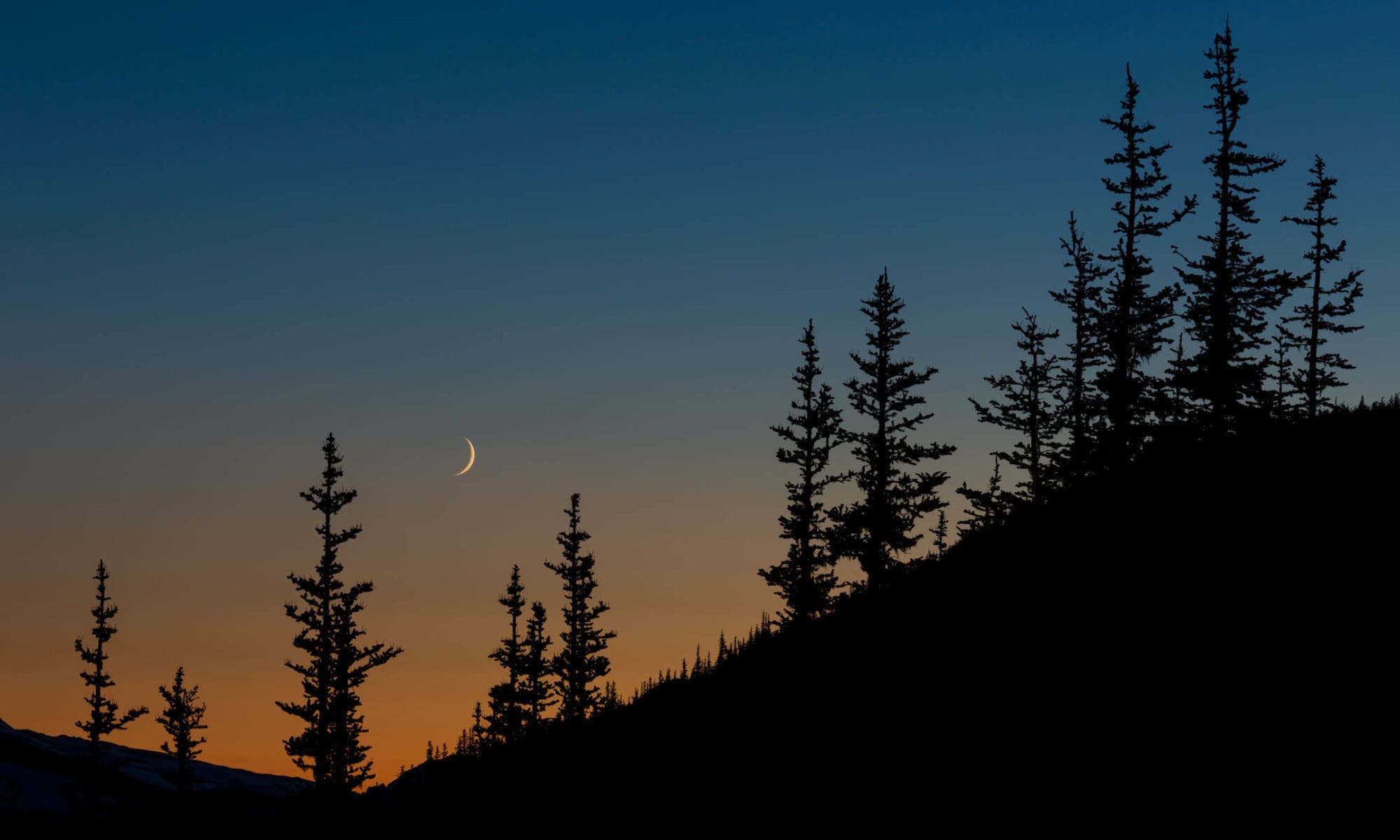 Landscape-tree-line-sunset-blue-orange-john-greengo